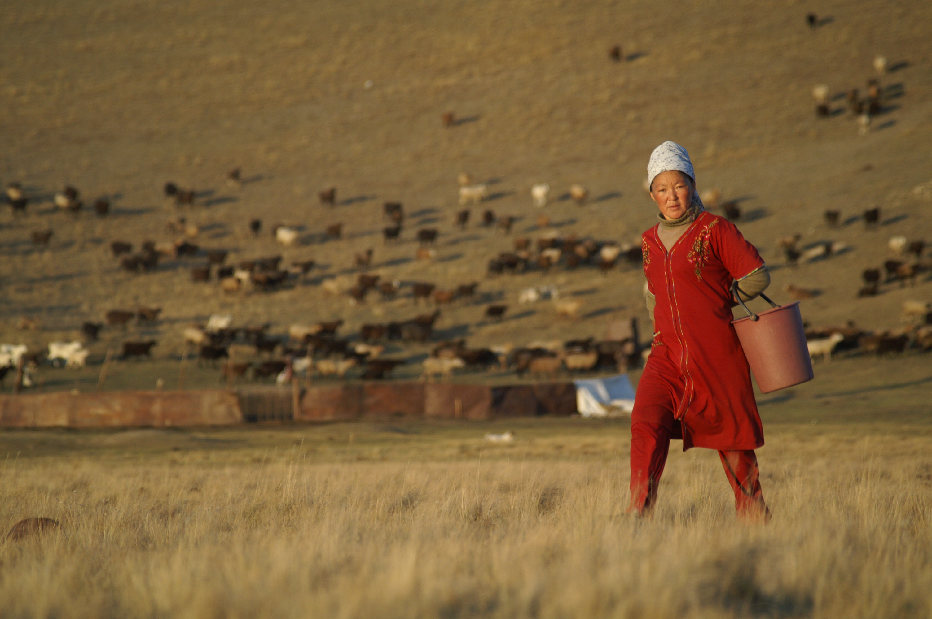 Kymyz: The Essence of Nomadic Hospitality in Central Asia